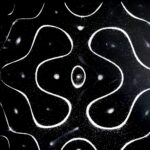 Cymatics | The Science of Vibrations and Sound Healing